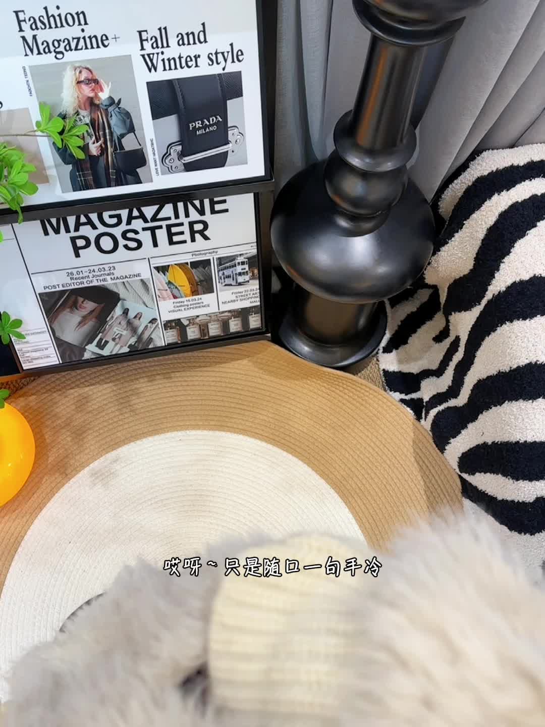 ...有了充电暖手宝,冬天不用小手冰凉了 !#暖手宝 #暖手宝充电宝二合一 ...