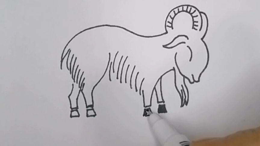 小羊简笔画,一起来画吧,简单易学