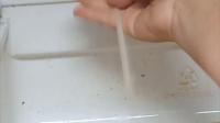 冰箱积水是因为排水孔堵住了,教你一招