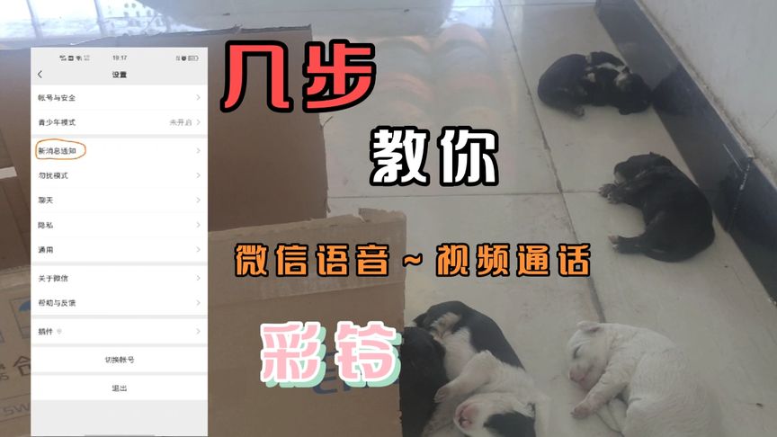 无聊的下午!教你微信语音视频通话设置专属彩铃