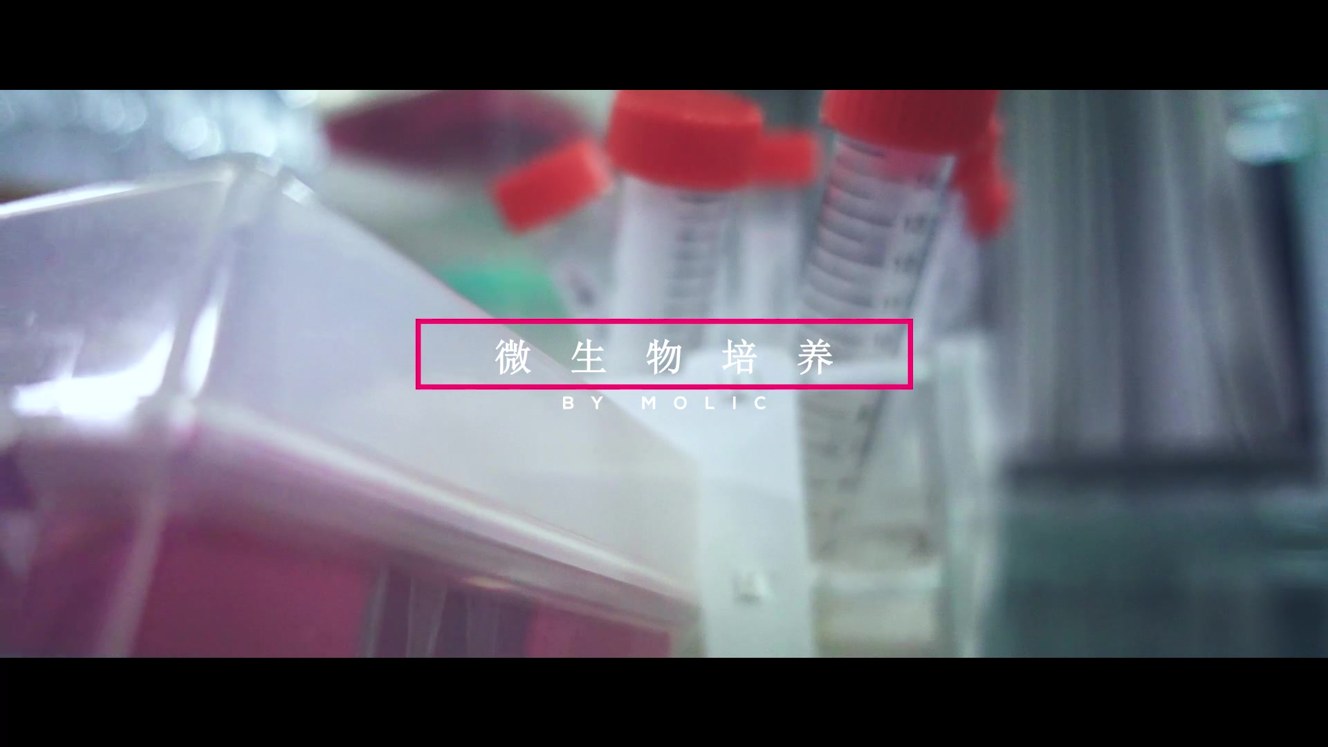 微生物培养怎么做?三分钟带你走进实验室,感受科学的魅力!