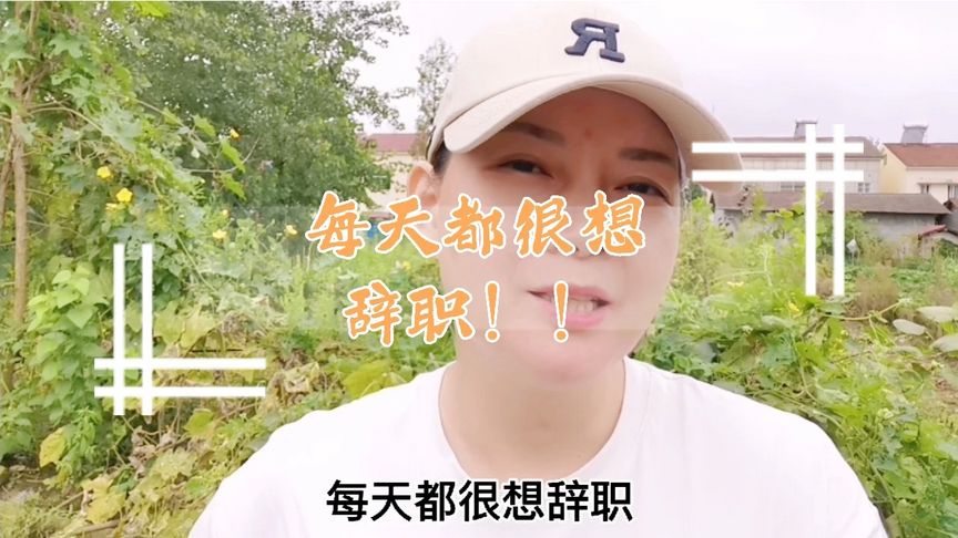每天都在纠结要不要辞职?你还在迷茫徘徊吗?这个视频给你启发～
