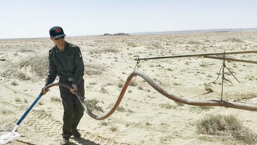 小伙去蚂蚁森林种植基地,帮梭梭树浇水,你们种的梭梭树是这样的