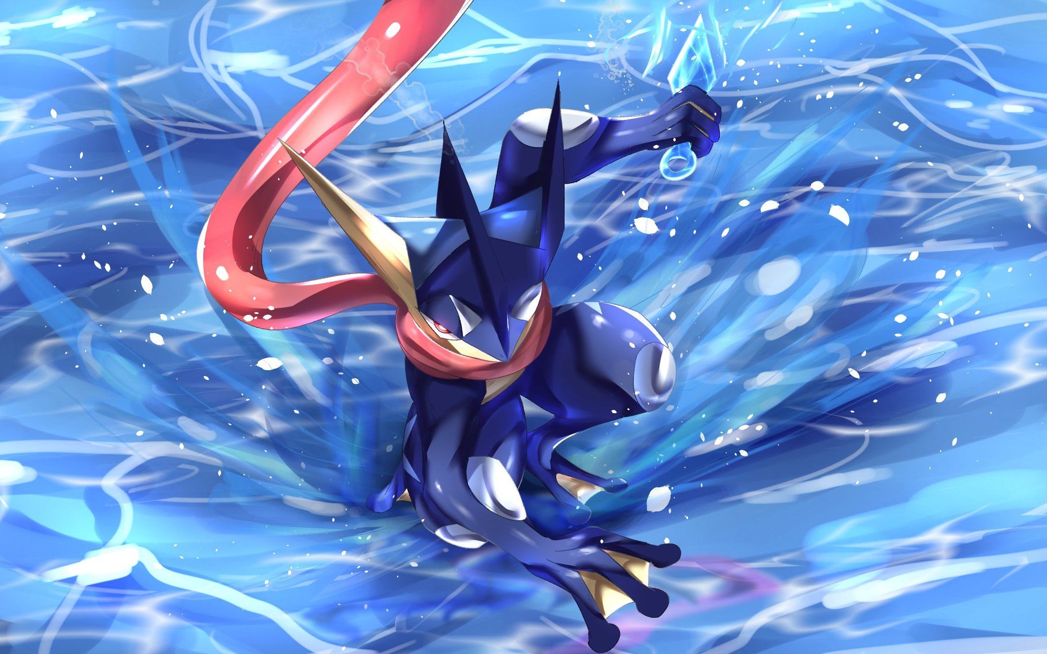 精灵宝可梦卡牌PTCG 水BOX(WTB) 卡组介绍【对战地区】