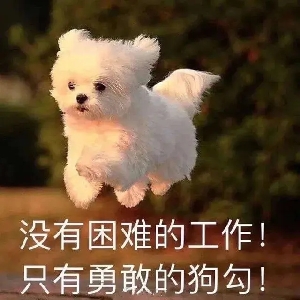 来自冷湖的企鹅杀手 