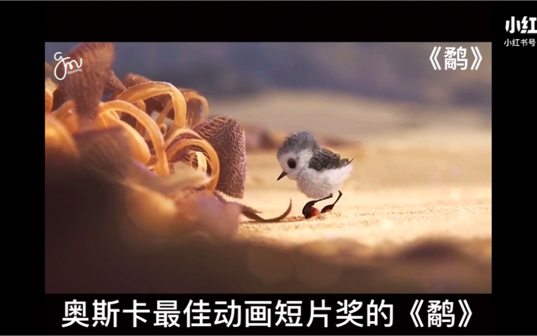 “聆听电影”—解读第89届奥斯卡最佳动画短片《鹬》