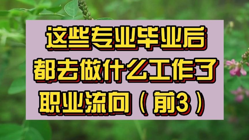 这些专业毕业后都去从事什么工作了?