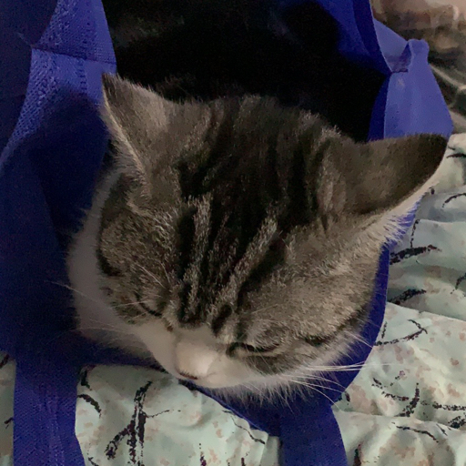 大咚咚咚大 
