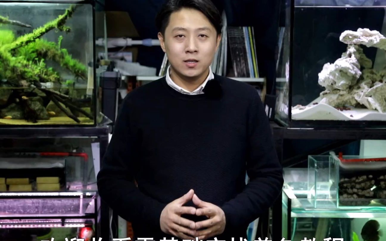 鱼缸完美过滤系统的运作原理—亮哥养鱼频道