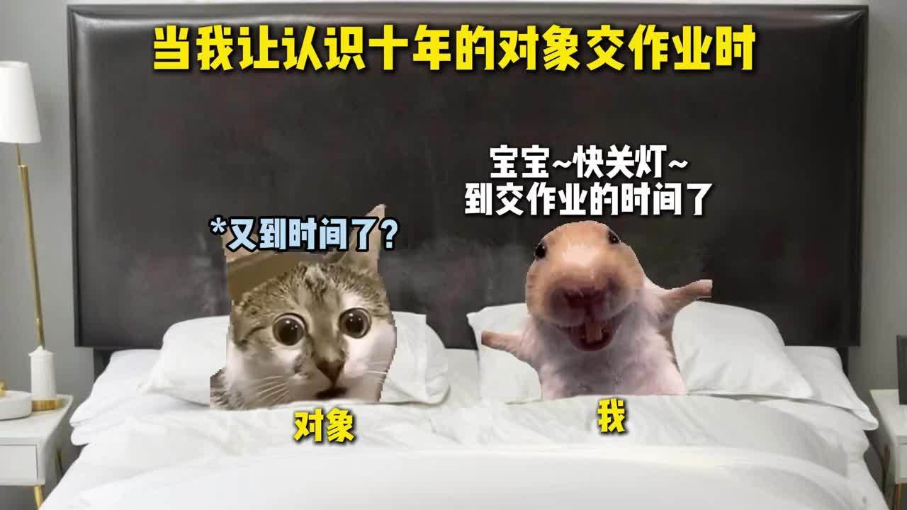 当我让认识十年的对象交作业时当我让认识十年的对象交作业时