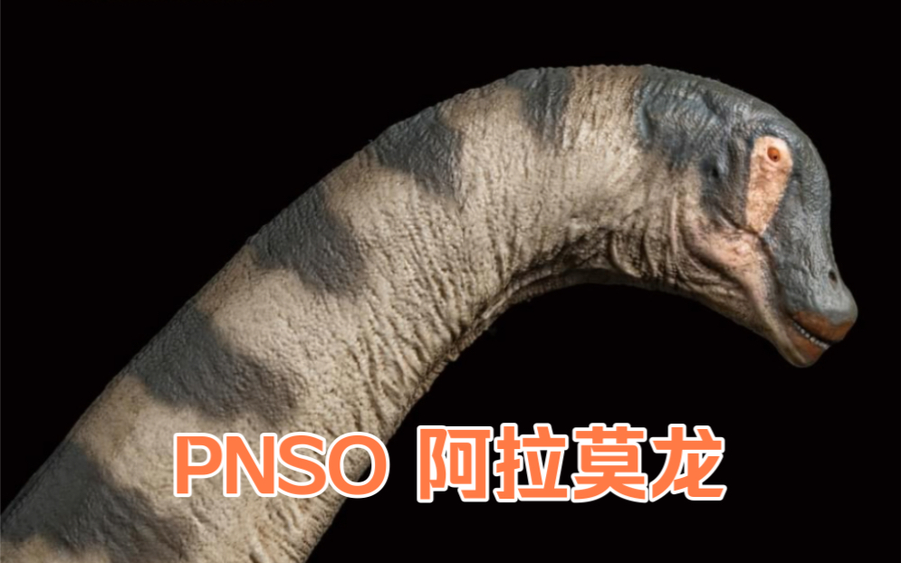 「呆头鹅」新品资讯 PNSO恐龙大王阿拉莫龙 恐龙模型
