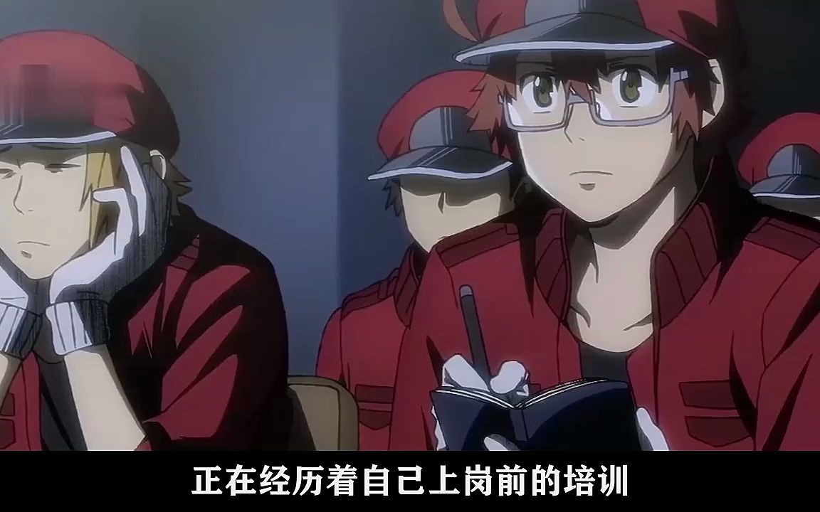 1 一月新番:恐怖的细菌入侵人体大肆破坏,白细胞姐姐一刀将其消灭