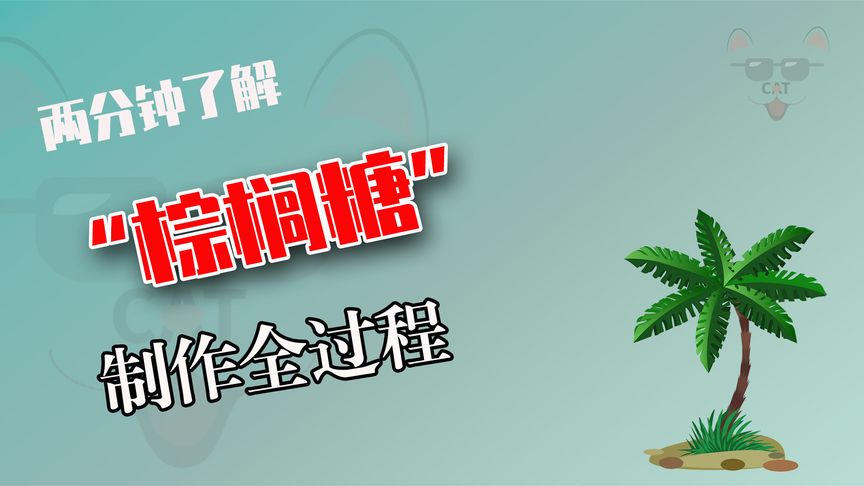 爬上20米高的棕榈树,采取最新鲜的汁液提炼成棕榈糖,好吃又营养