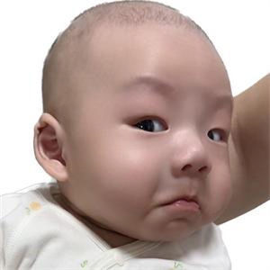 家有小泉泉