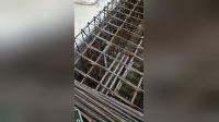 桩基础钢筋绑扎高清视频