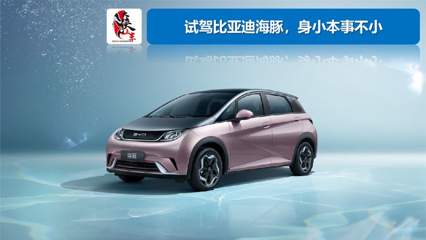 试驾比亚迪海豚,身小本事不小