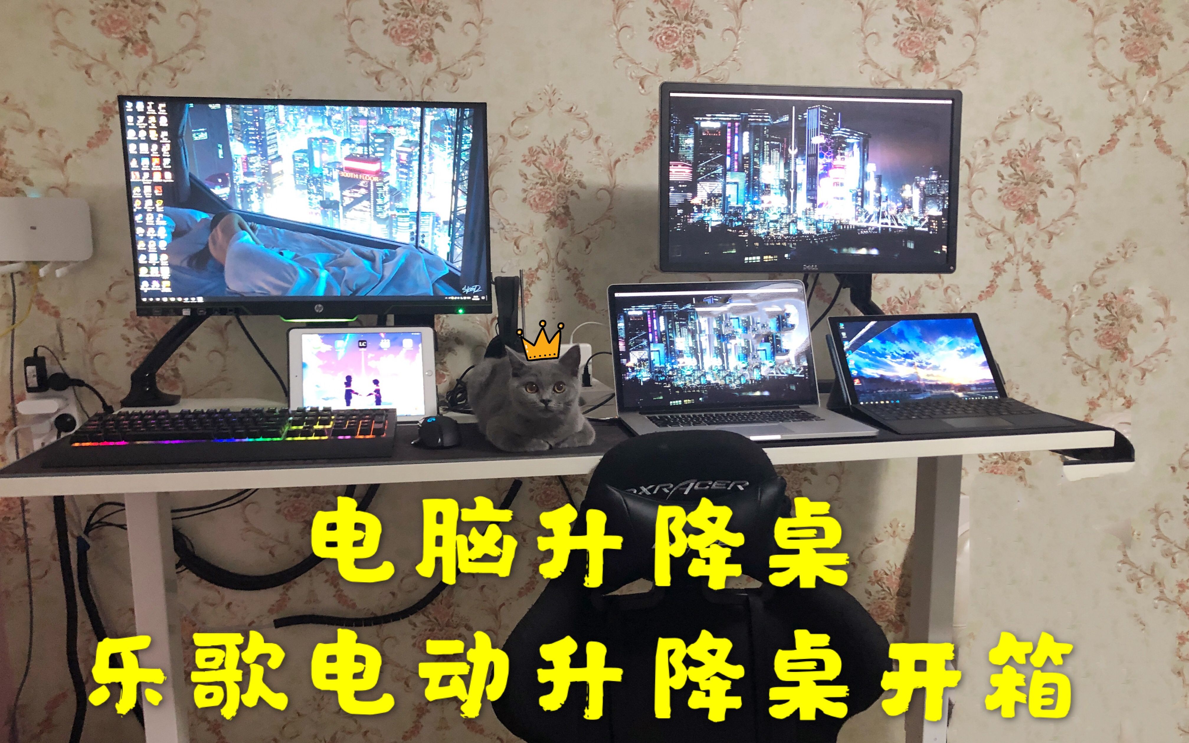 【单反喵的开箱】电脑升降桌乐歌电动升降桌开箱