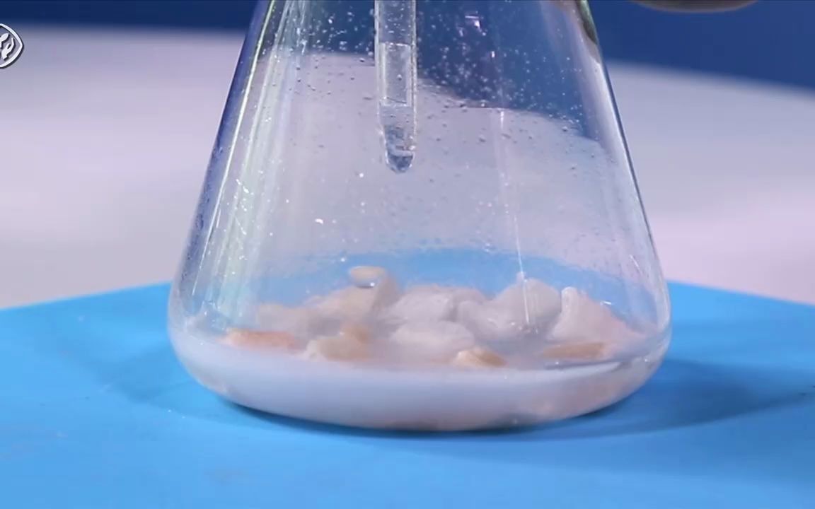 最新人教版化学实验合集《大理石与盐酸反应》