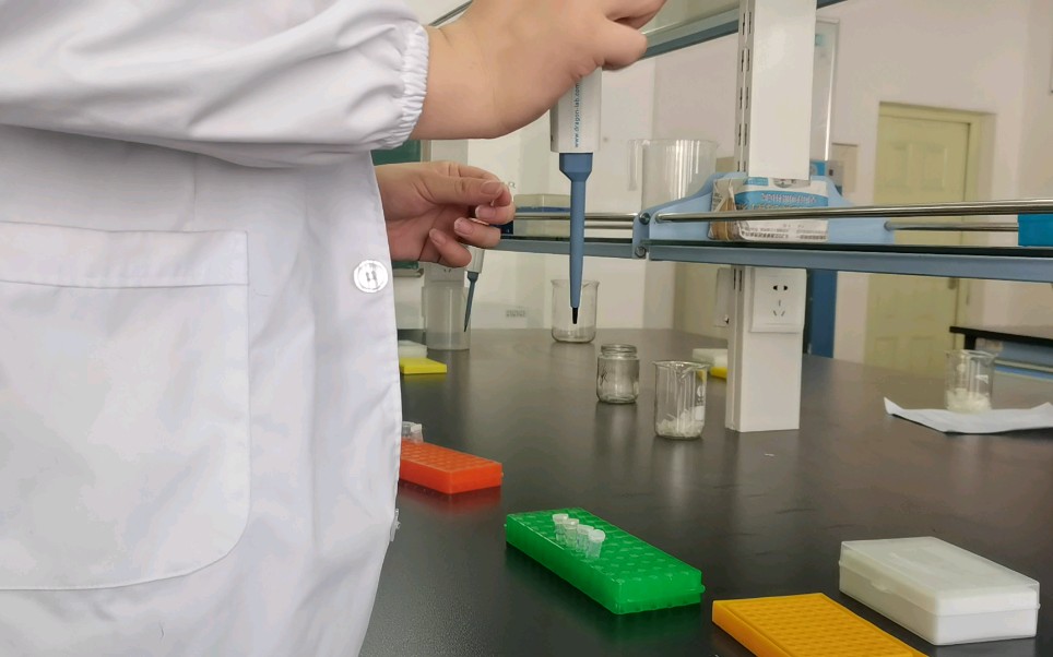 分子生物学实验考试