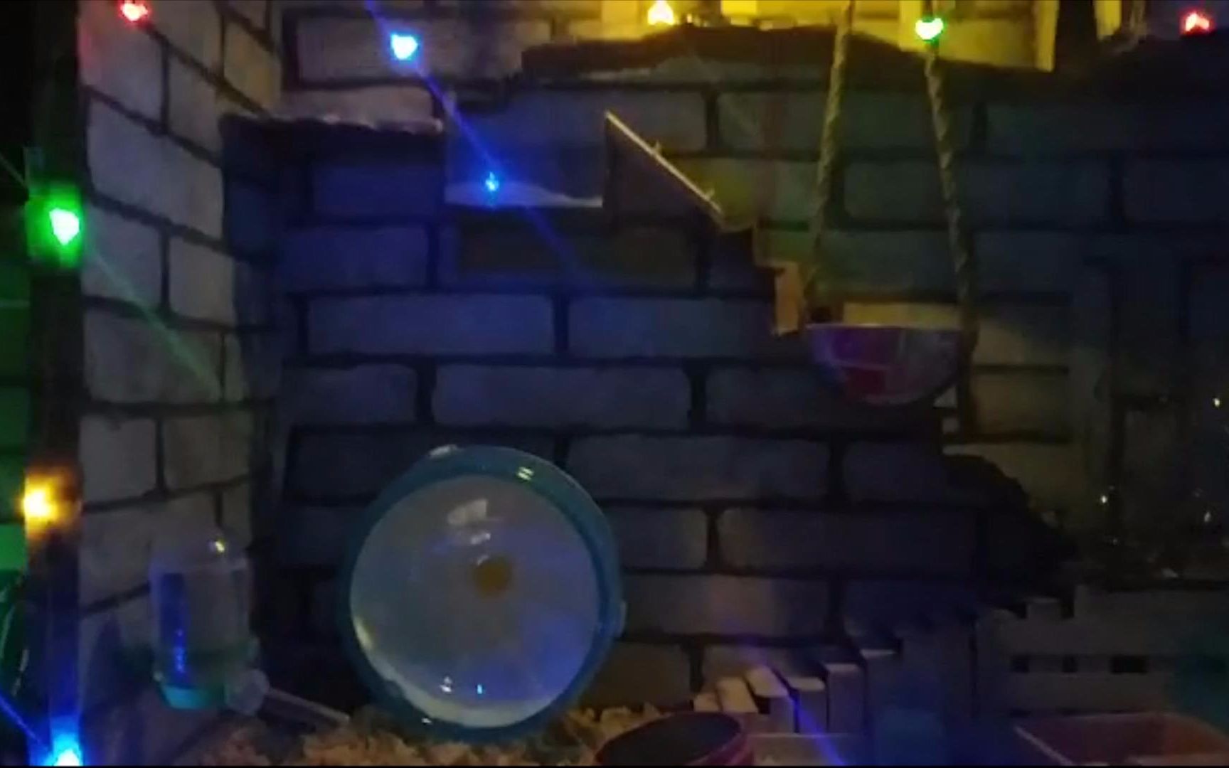 穷逼自制仓鼠别墅