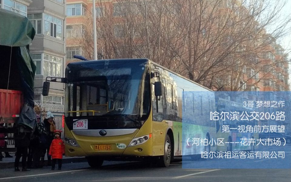 【3哥---POV39】哈尔滨公交206路POV(河柏小区---花卉大市场)全程...