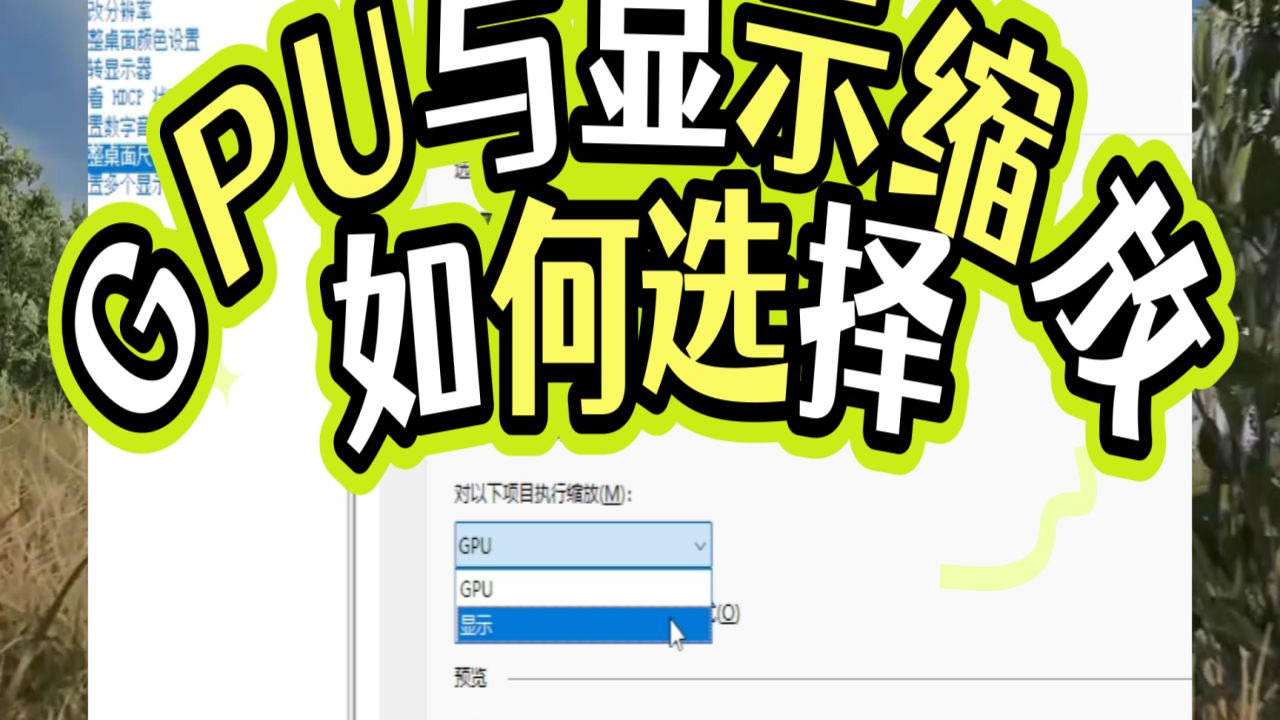 【吃鸡玩家必看】N卡控制面板中GPU与显示缩放该如何选择?