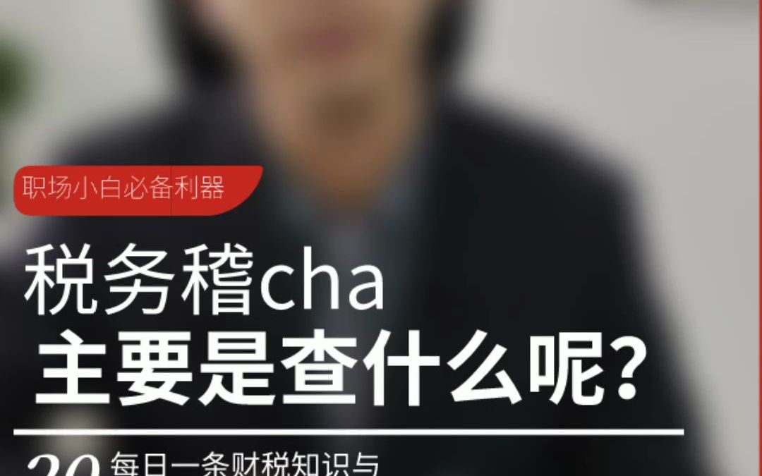税务稽查主要查什么?