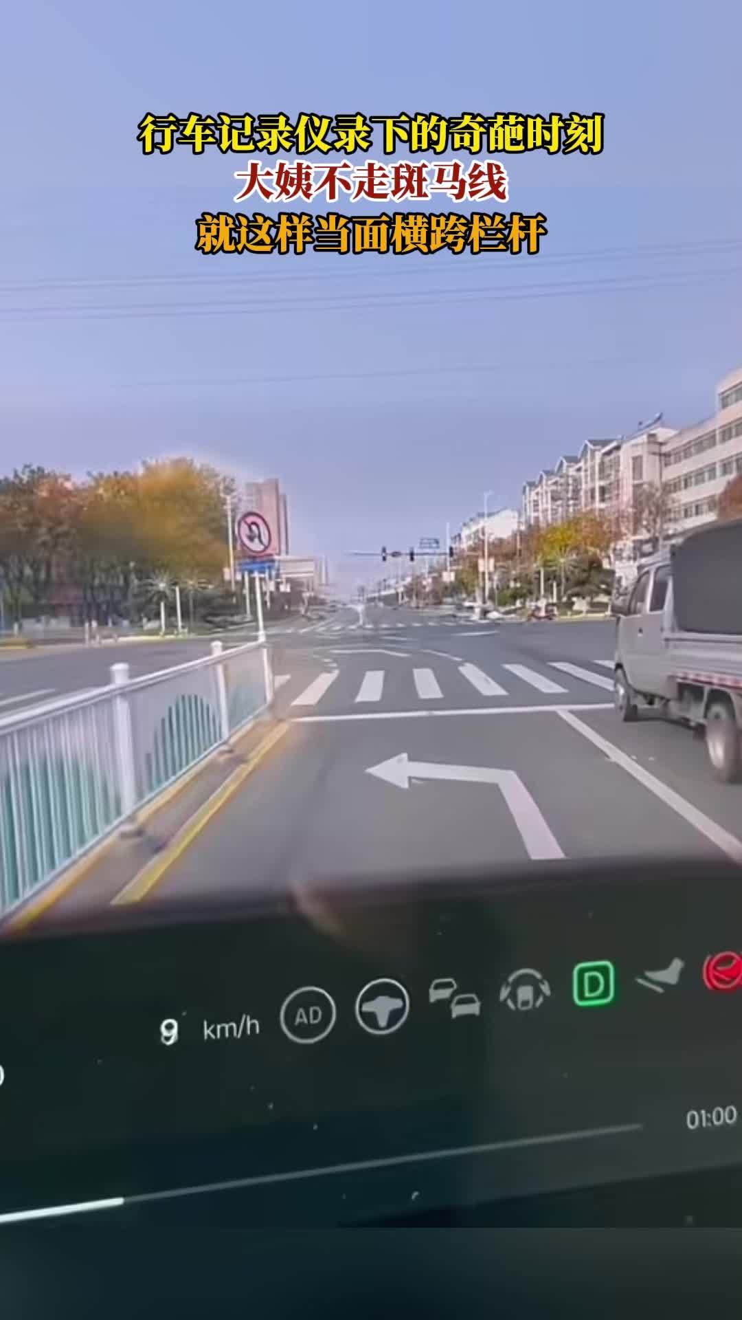 行车记录仪录下的奇葩时刻,大姨不走斑马线,就这样当面横跨栏杆