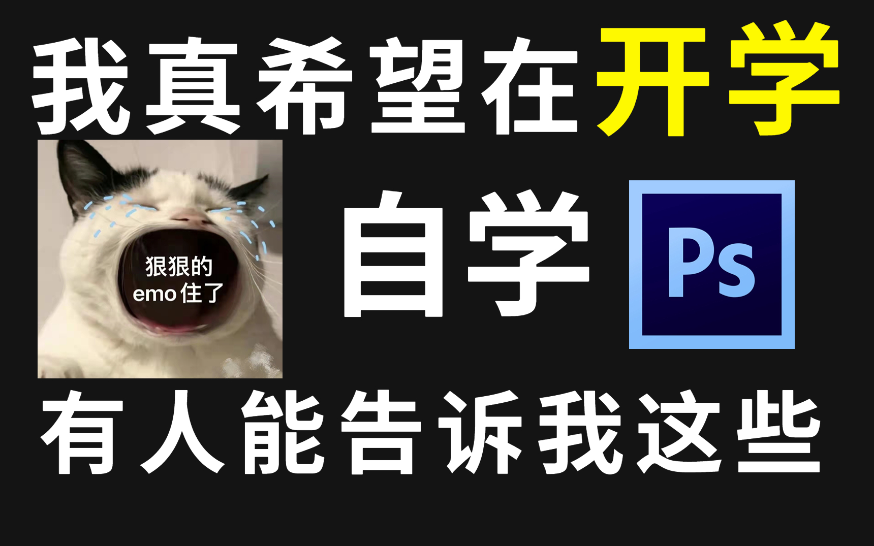 ...呕心吐血整理!2022PS全套教程200集,学不会up主退出设计区!PS...