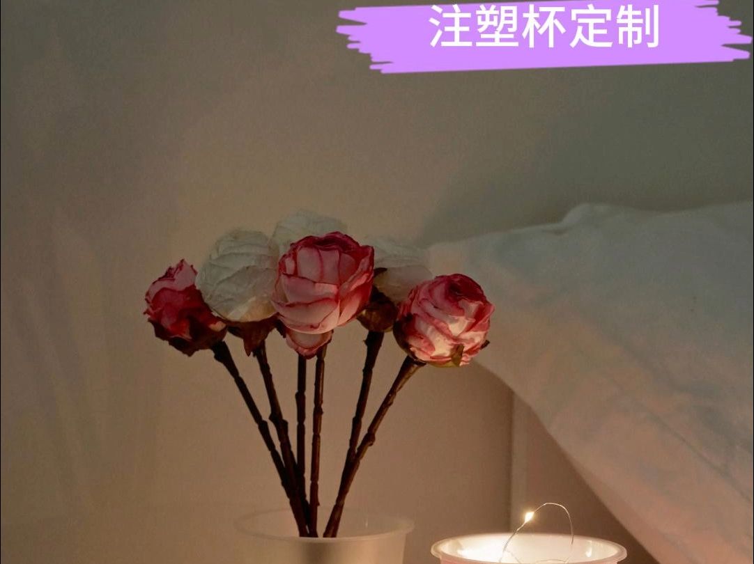 卡通风格注塑杯膜内贴印刷工艺