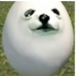 一分熟生瓜蛋子 