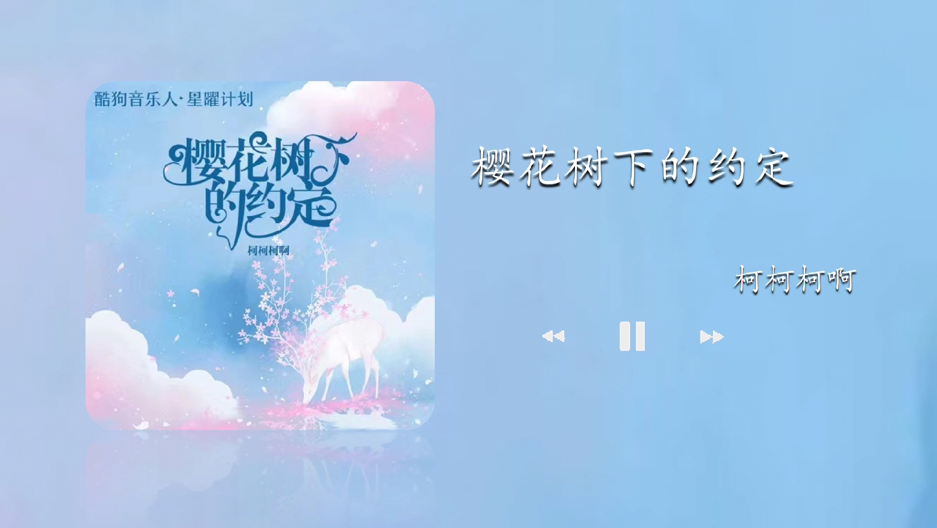 日推歌单:柯柯柯啊-樱花树下的约定(附标准、无损下载链接)