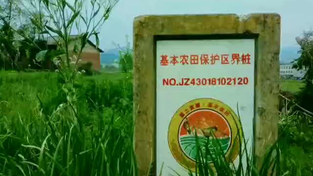 改变土地的性质 农用地变味建设用地的背后