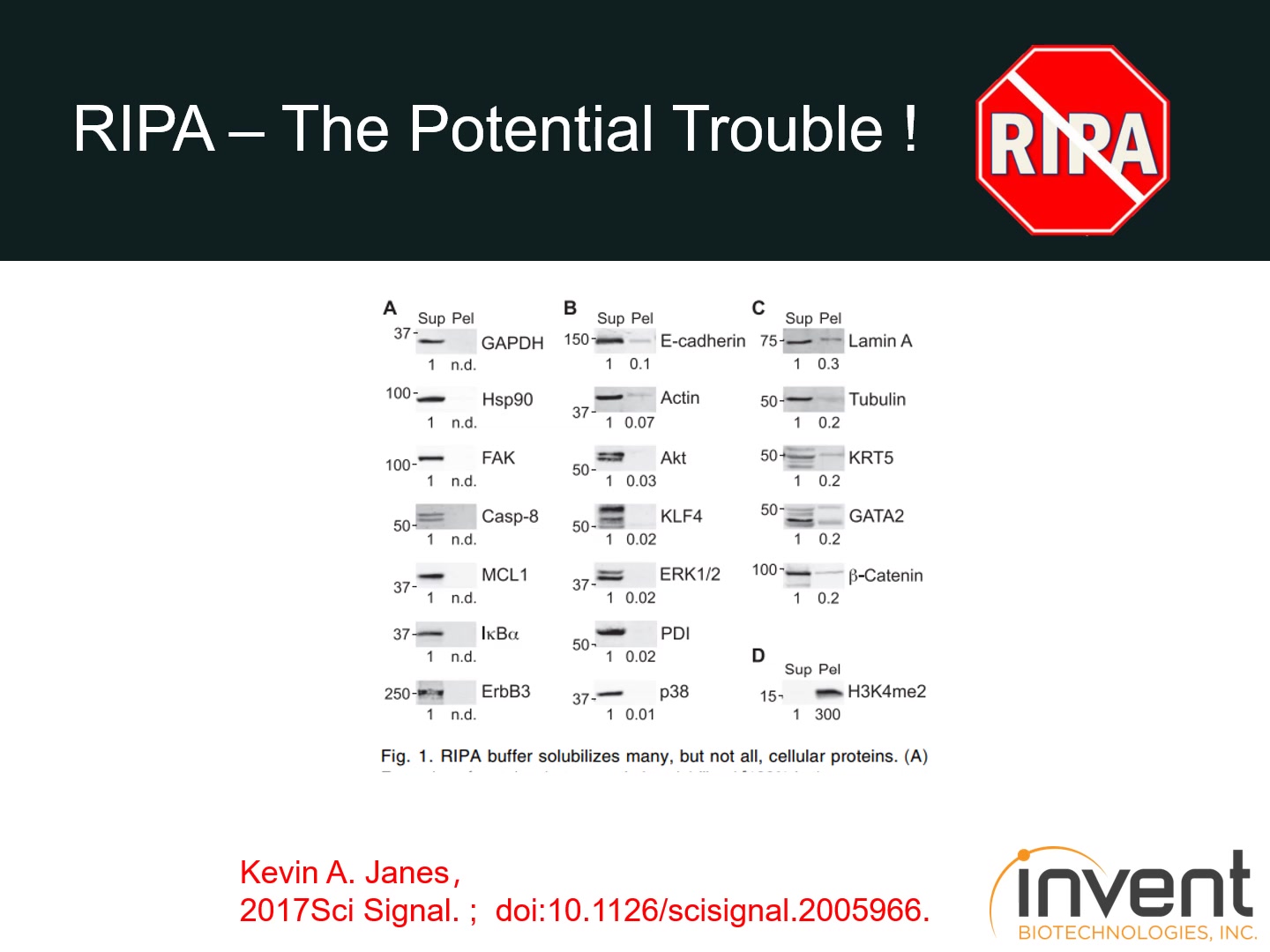 总蛋白研究案例分析