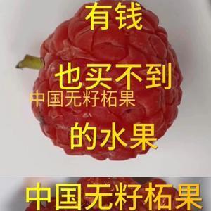 柘世界