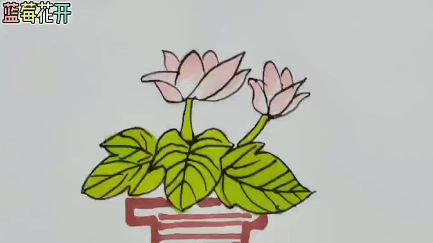 漂亮的秋海棠花简笔画