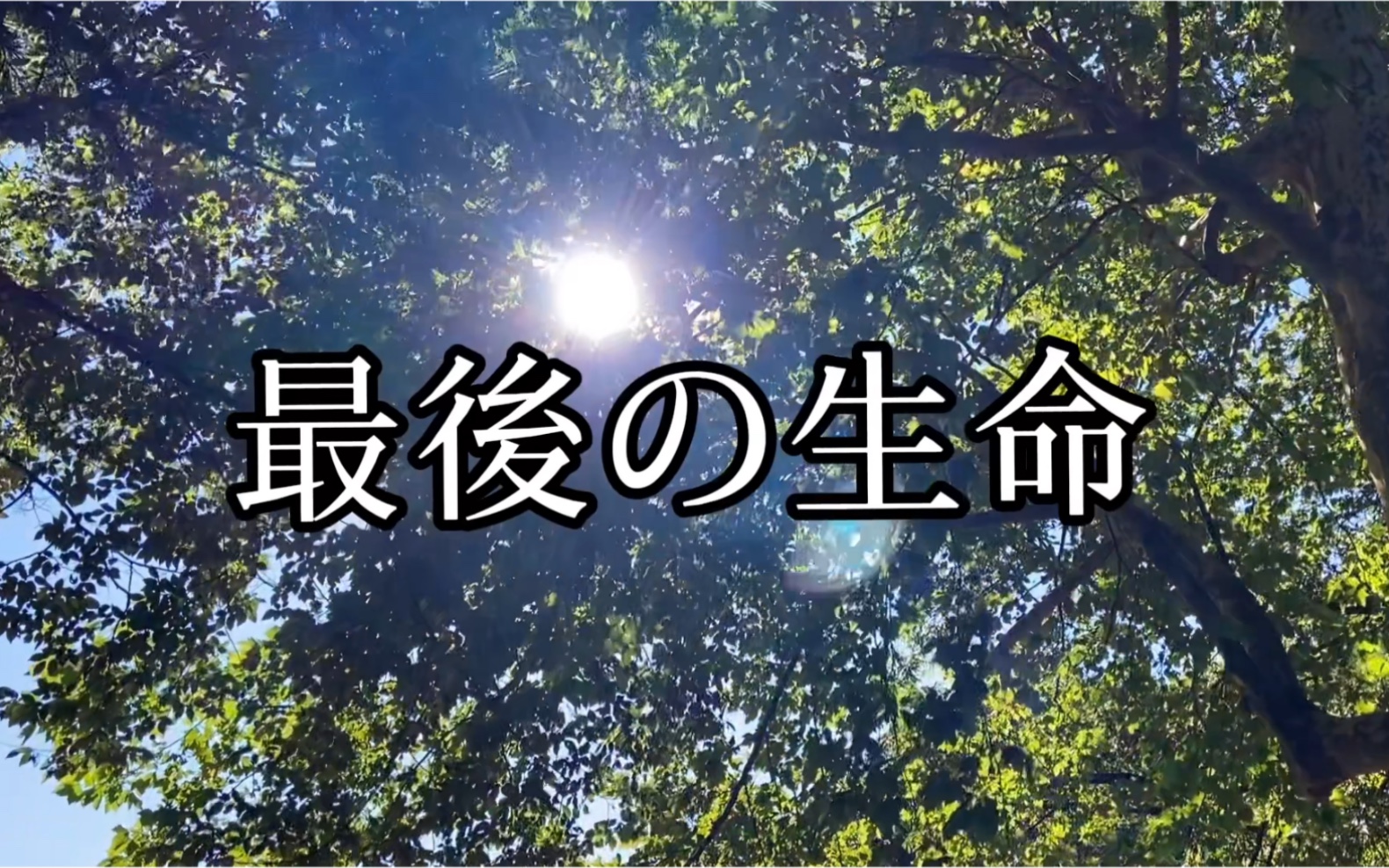 日本博物馆教育学的课题