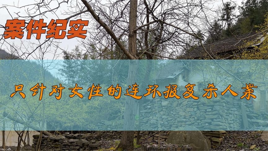 真实案件纪实——只针对女性的连环报复杀人案