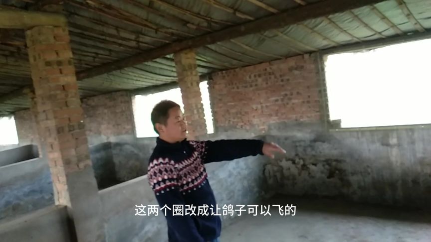 猪圈改成鸽舍,窗户和电路整改结束,小伙介绍接下来的整改计划。