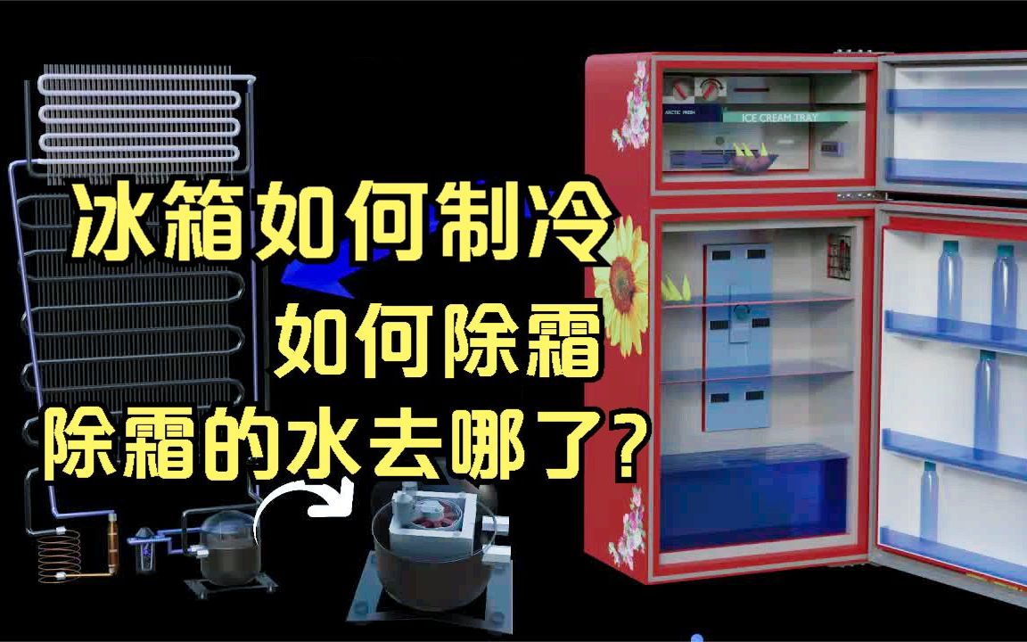 冰箱如何制冷,如何除霜,除霜水去哪了?
