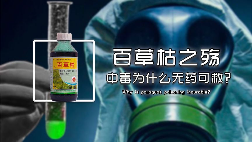百草枯中毒为什么无药可救?它是唯一被喝到停产的农药!