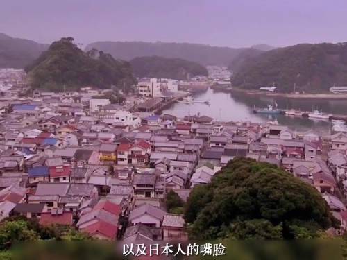 这部冒着生命危险,偷拍的纪录片,记录着日本人丑恶的嘴脸