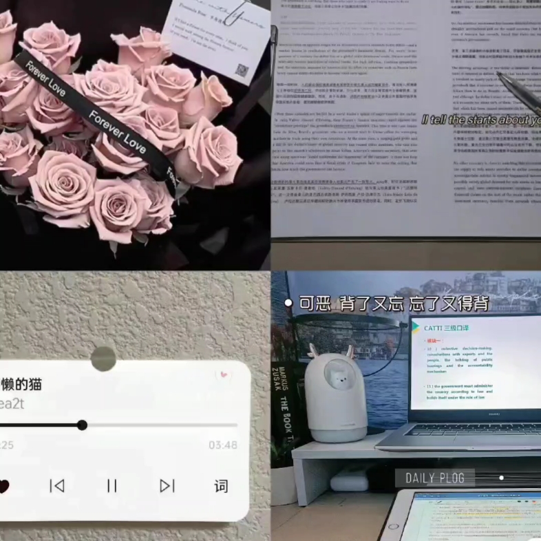 姜振宇主讲MBTI性格分析+王无术:专升本英语10小时救命班+街舞(爵士...