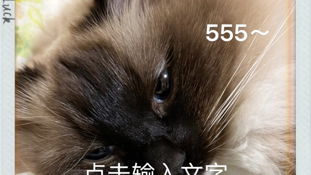 酒水行业旺季来临,淘宝拼多多控价工作如何做好?