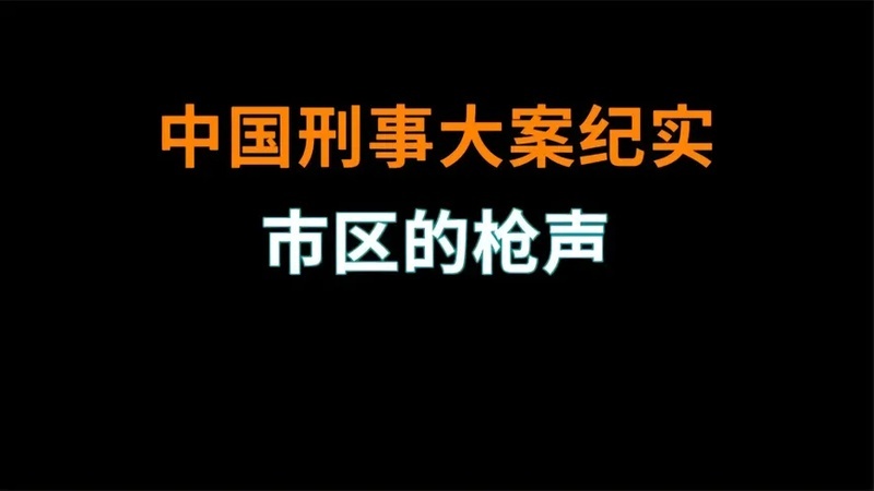 市区的枪声 中国刑事大案纪实 刑事案件要案记录