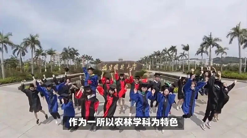 福建农林大学为啥没人报名呀