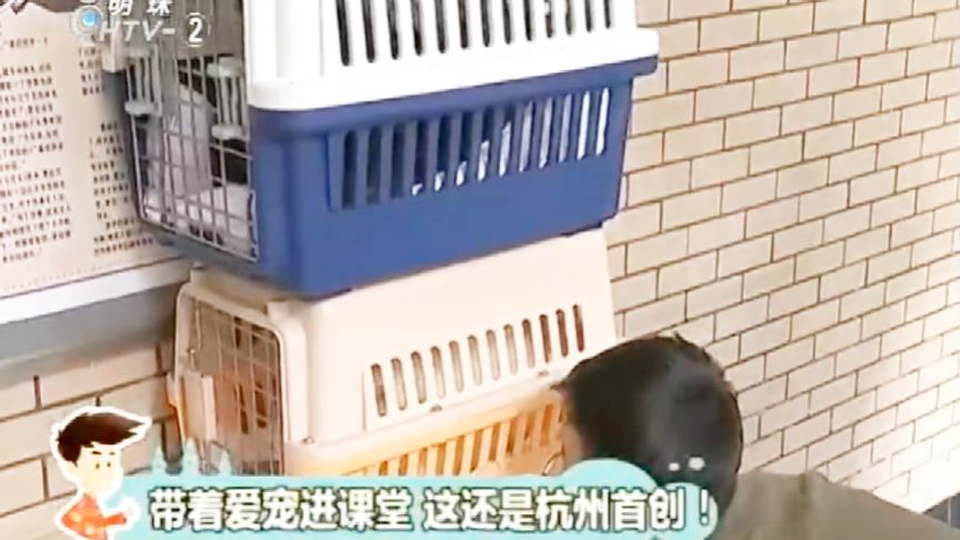 学校允许学生带宠物,只为给学生们好好上一课!