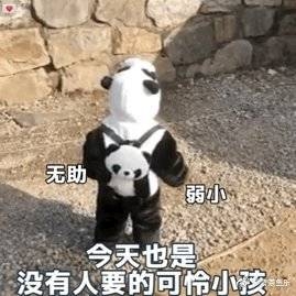 玩一会月亮 