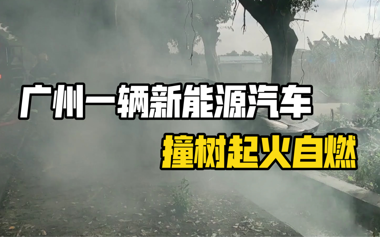 广州一辆新能源汽车撞树起火自燃