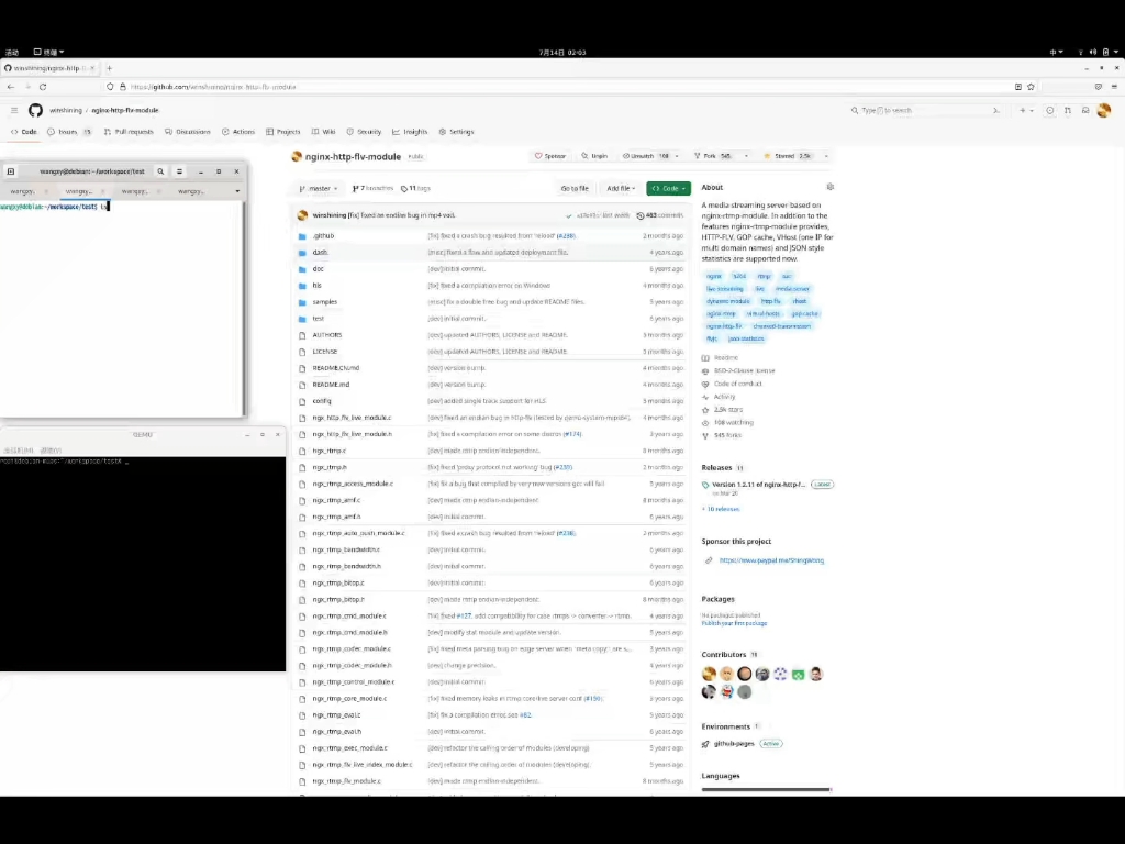更新 nginx-http-flv-module 的几个功能